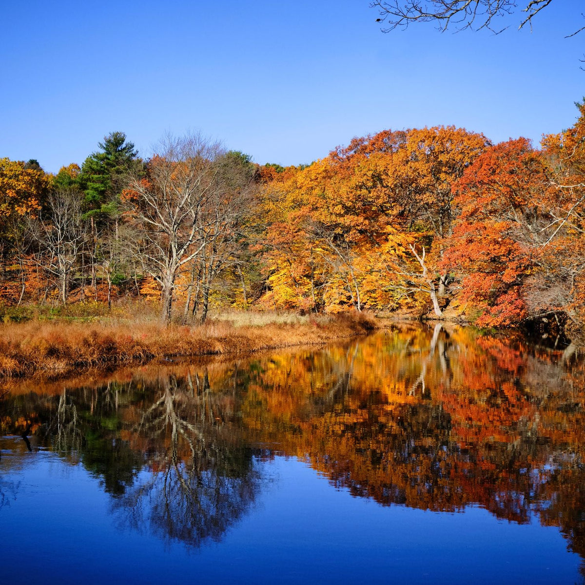 FALL POND PREP – Koenders Water Solutions - Canada
