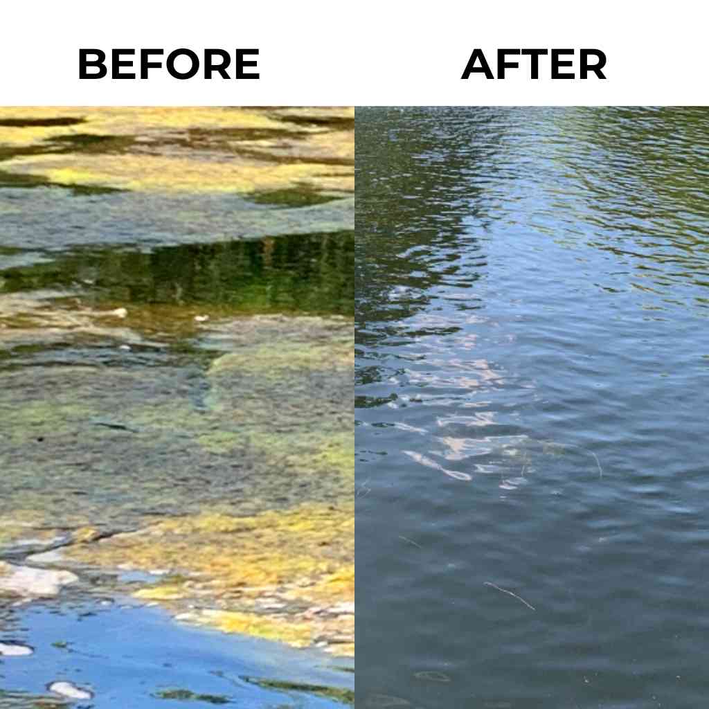 Nature's Pond Conditioner – Koenders Water Solutions - Canada